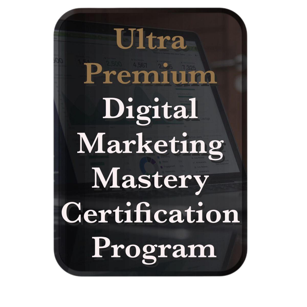 Ultra Premium Digital Marketing Mastery Certification Program – Dot Big ...